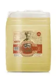 GOLDEN CHEF ACEITE DEEP FRY BIDON 20 LT